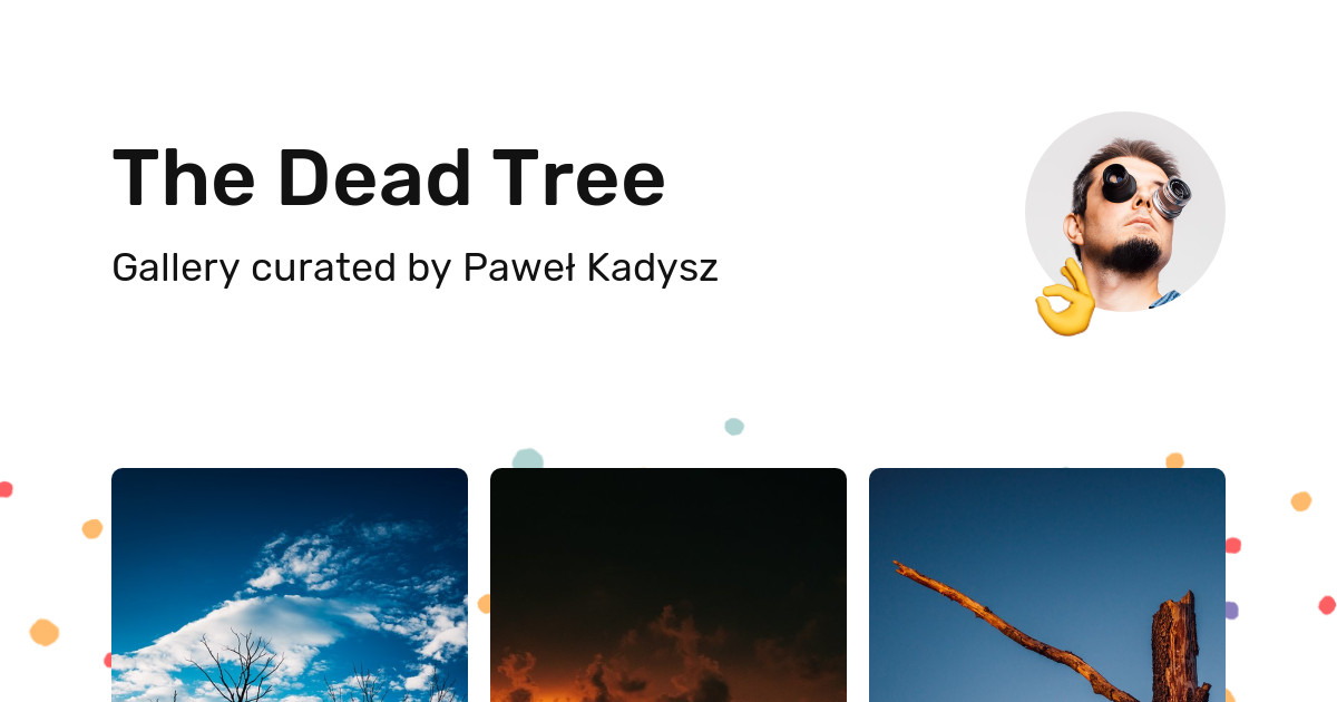 The Dead Tree - Tookapic