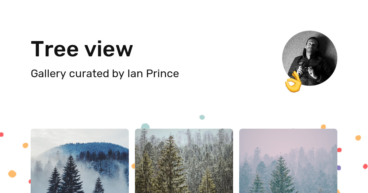 Tree view - Tookapic