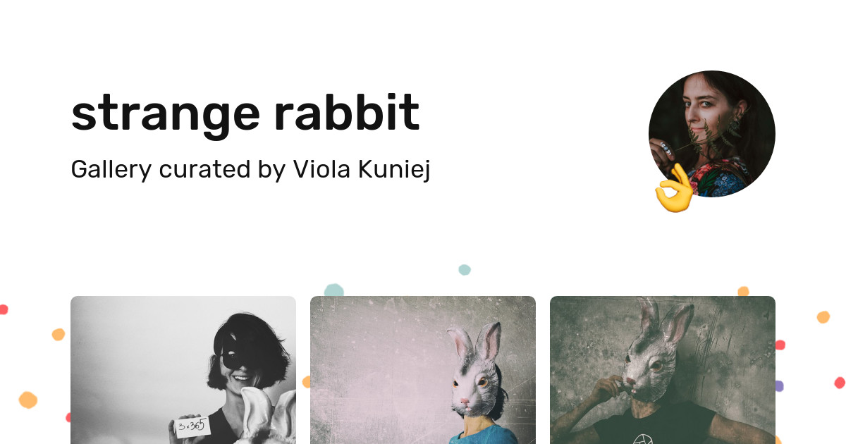 strange rabbit - Tookapic