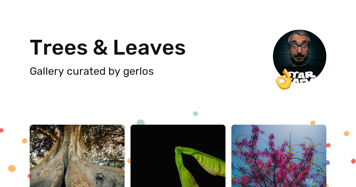 Trees & Leaves - Tookapic