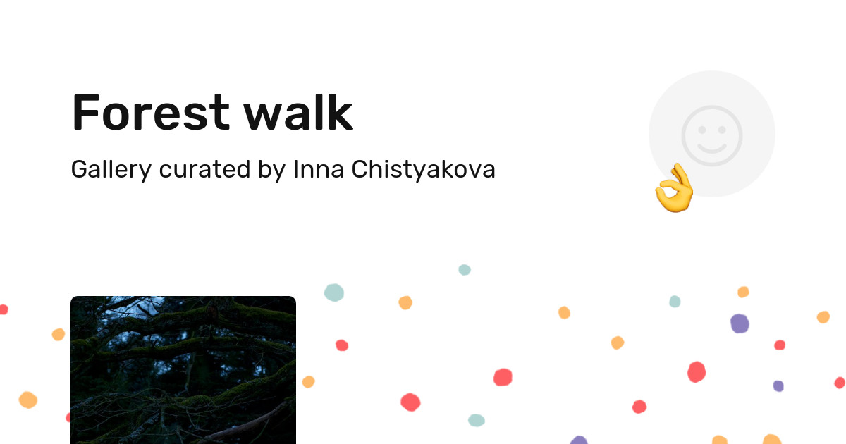 Forest walk - Tookapic