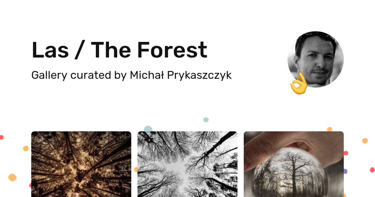 Las / The Forest - Tookapic