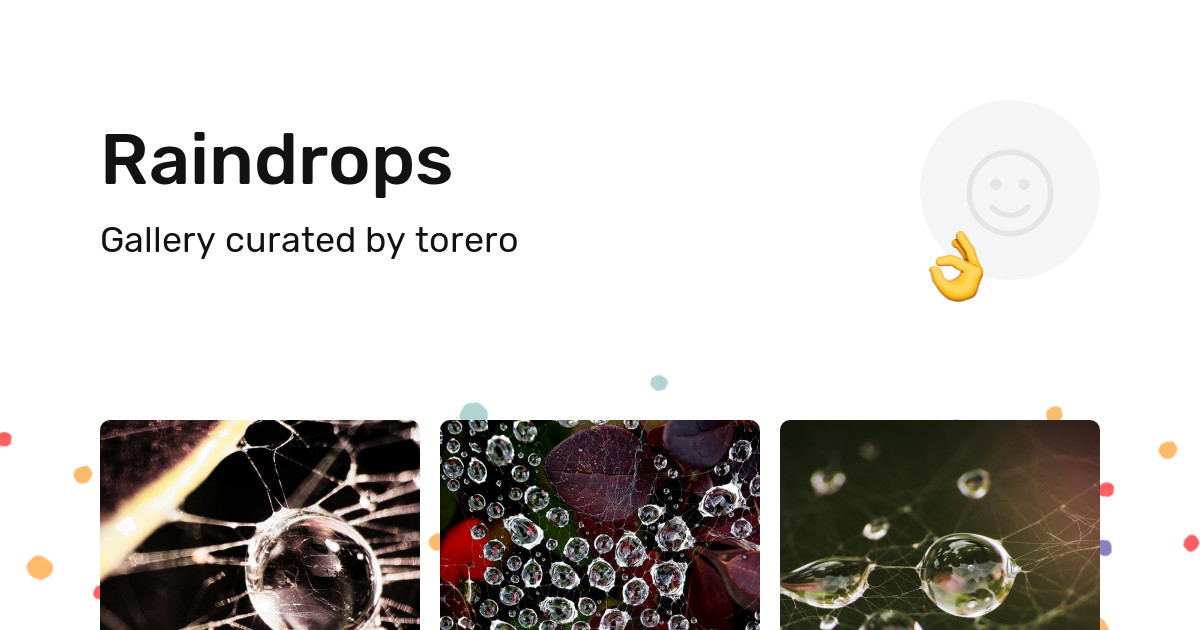 Raindrops - Tookapic