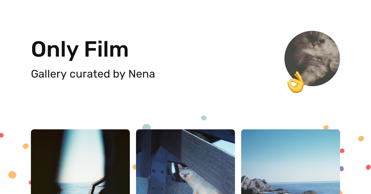 Only Film - Tookapic