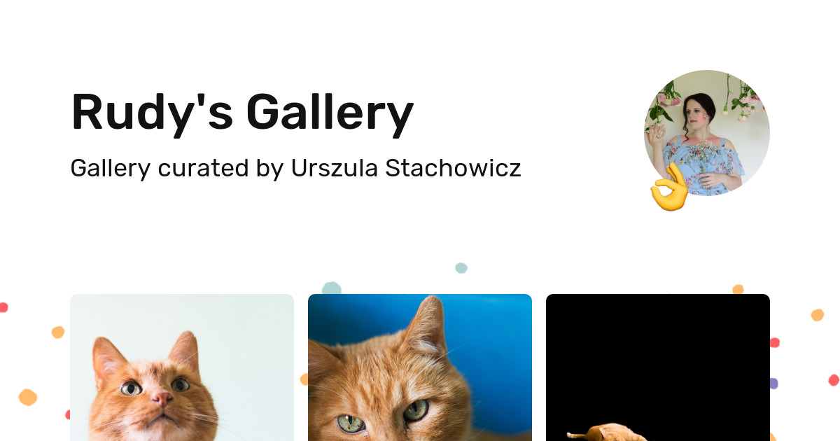 Rudy's Gallery - Tookapic