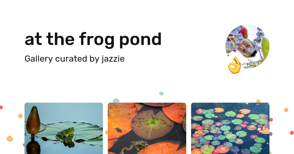 at the frog pond - Tookapic