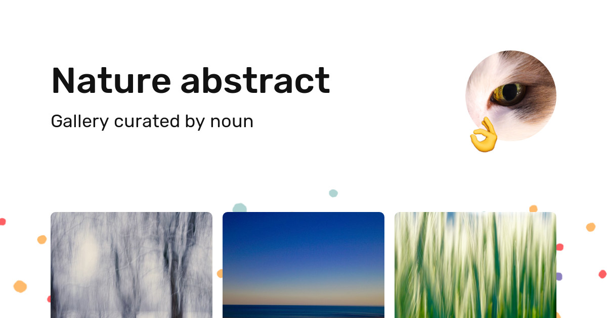 Nature abstract - Tookapic