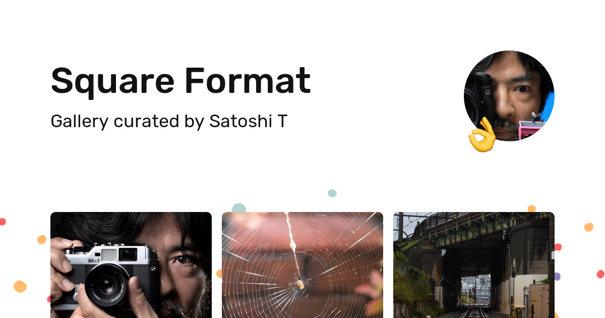 Square Format - Tookapic