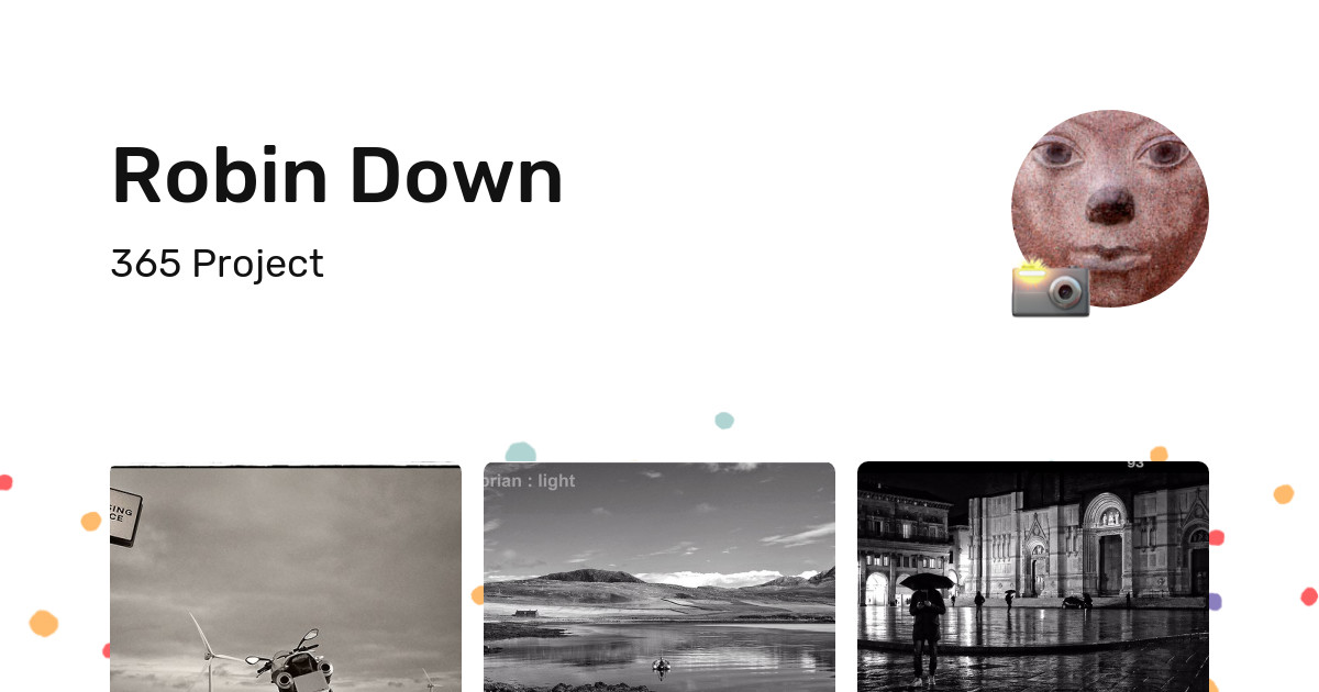 Robin Down - Tookapic